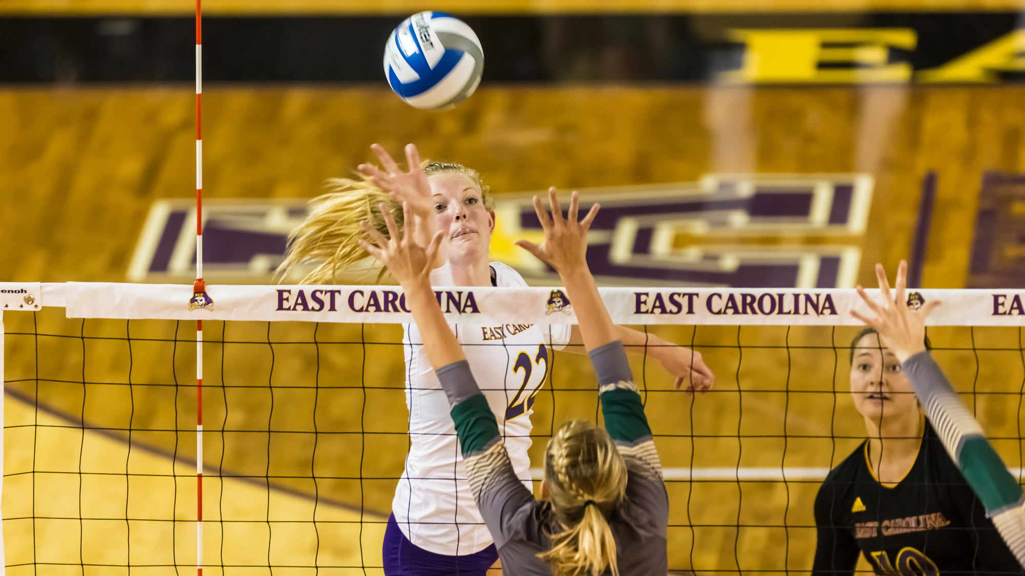 Lael Ceriani - Volleyball - East Carolina University Athletics