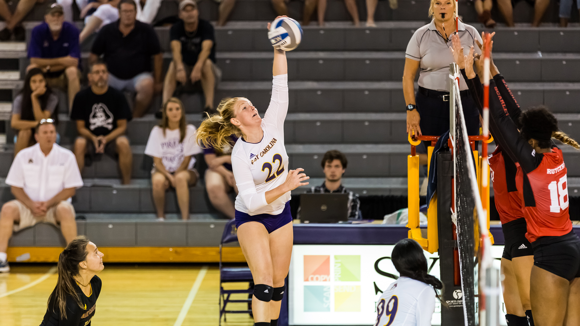 Lael Ceriani - Volleyball - East Carolina University Athletics
