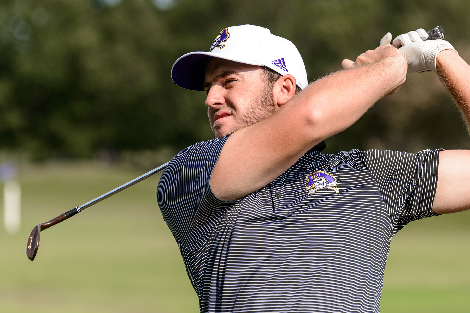Jackson Spires - Men's Golf - East Carolina University Athletics