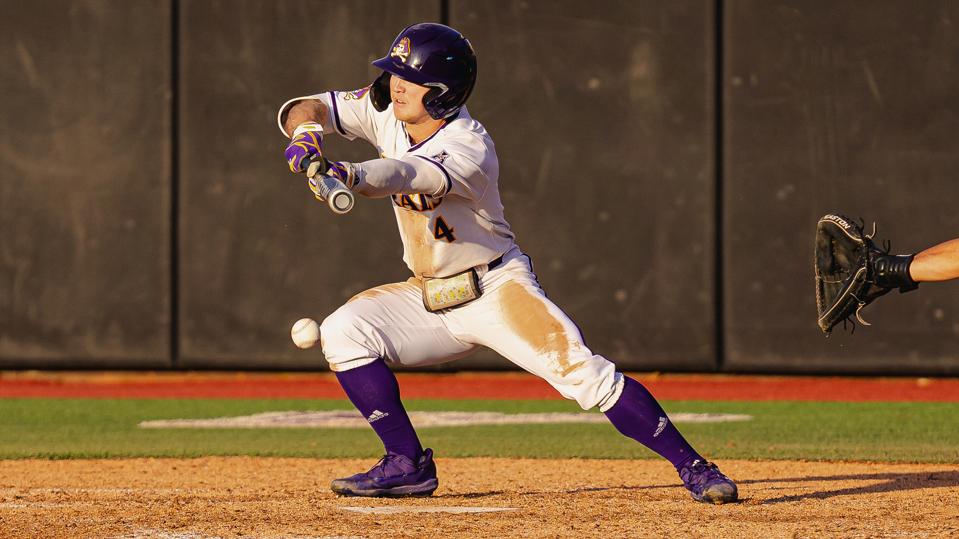 Lane Hoover - Baseball - East Carolina University Athletics