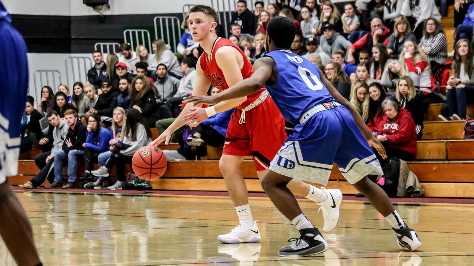 Sam Noyce - Men's Basketball - Edgewood College Athletics