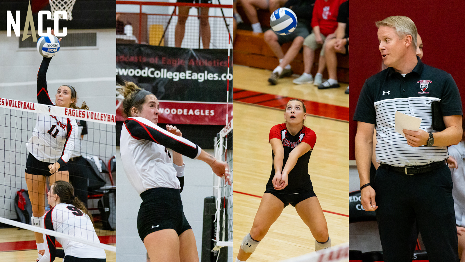 Three Eagles earn All-NACC Honors; Schlomer named Coach of the Year ...