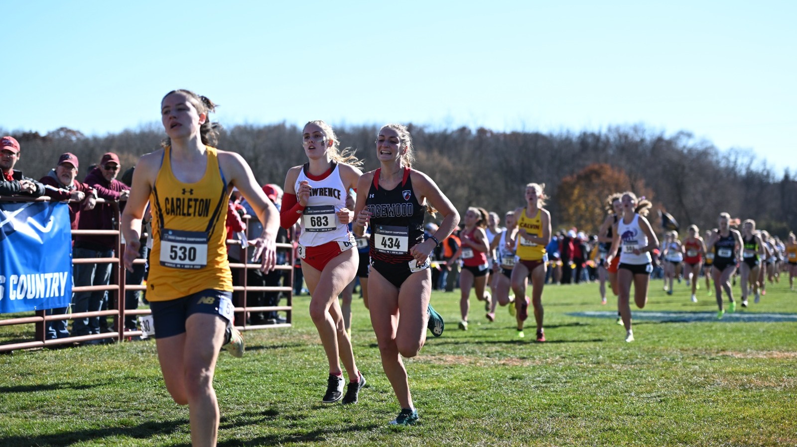 Verbauwhede represents Eagles at NCAA Division III Championship ...