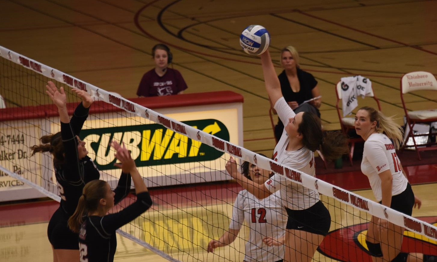 Sally Sterkel - Women's Volleyball - Edinboro University Athletics