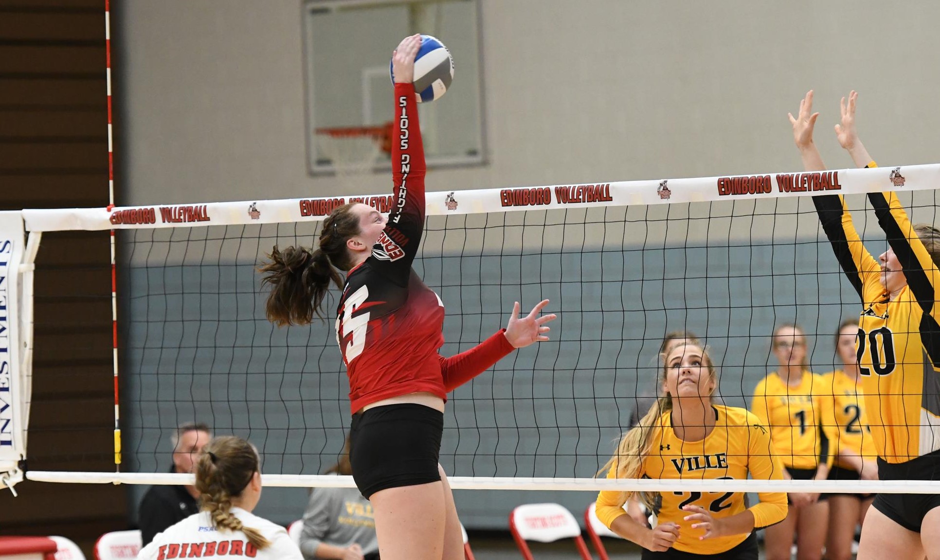 Erica Sharp - Women's Volleyball - Edinboro University Athletics