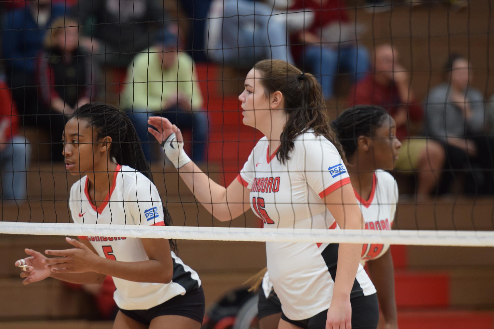 Sally Sterkel - Women's Volleyball - Edinboro University Athletics