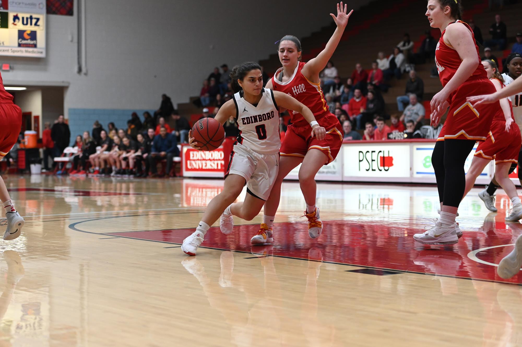 Rana Elhusseini - Women's Basketball - Edinboro University Athletics