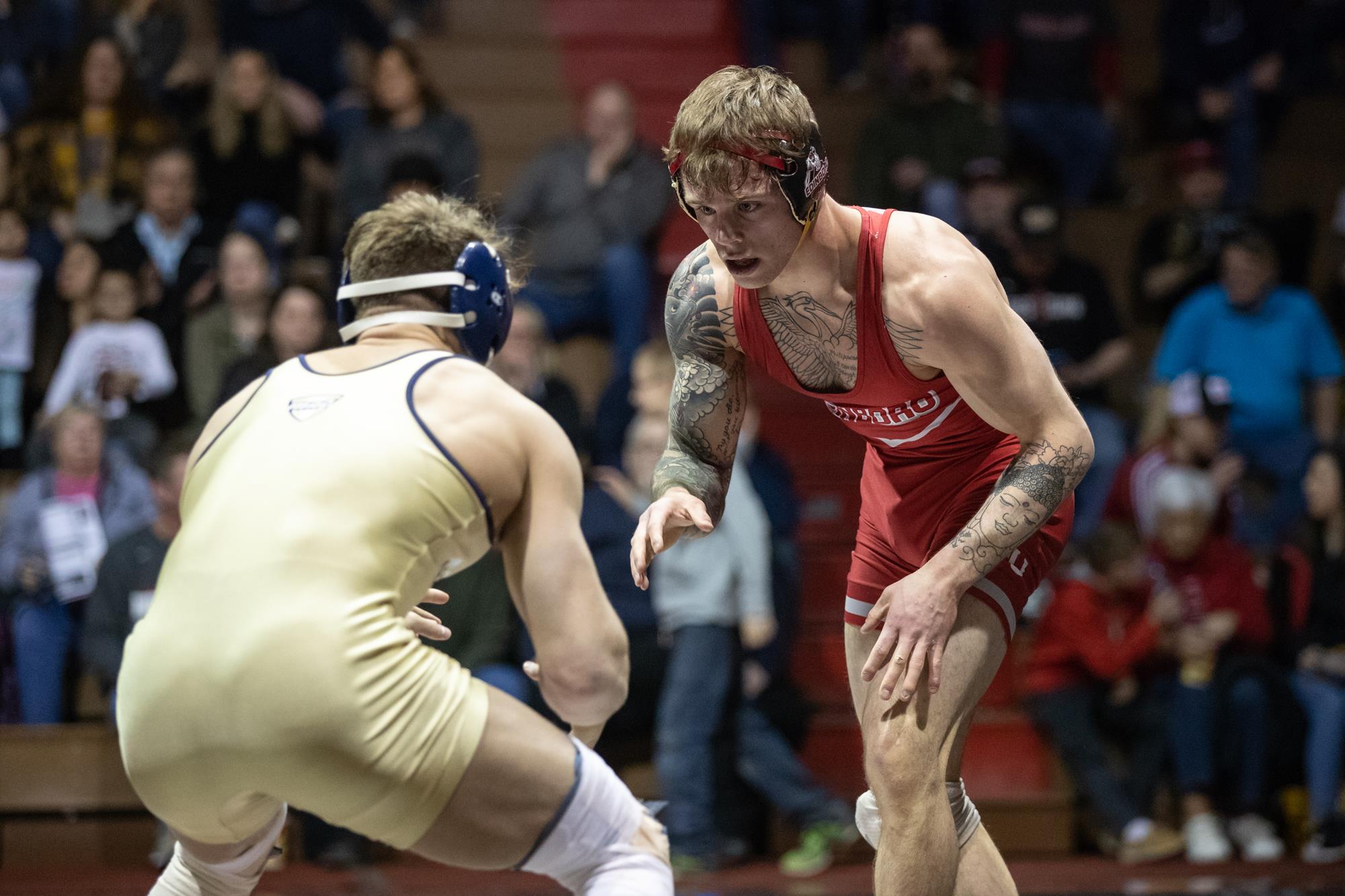 Derek Ciavarro - Wrestling - Edinboro University Athletics