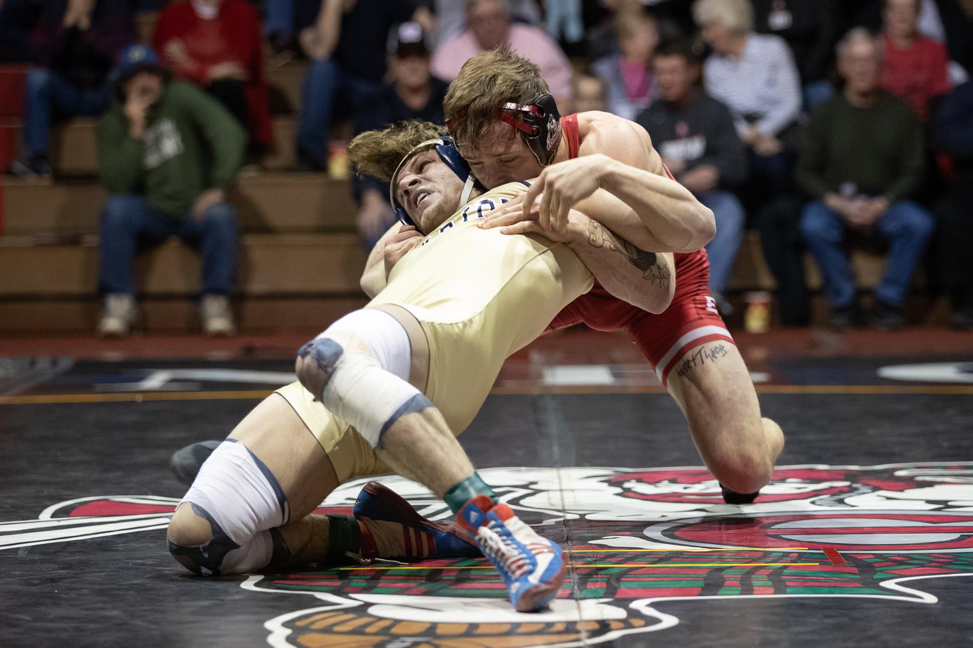 Derek Ciavarro - Wrestling - Edinboro University Athletics
