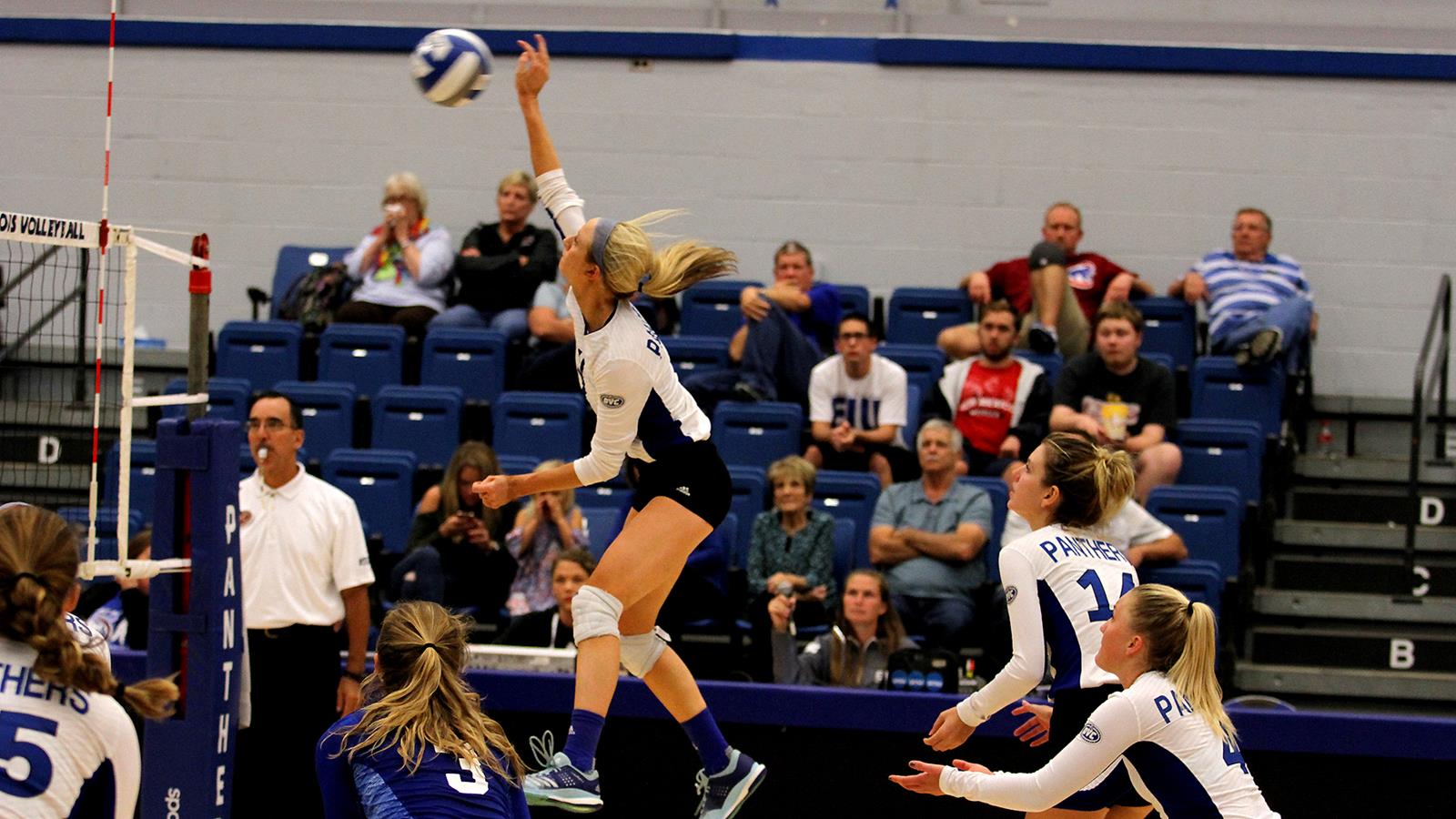Taylor Smith - Volleyball - Eastern Illinois University Athletics