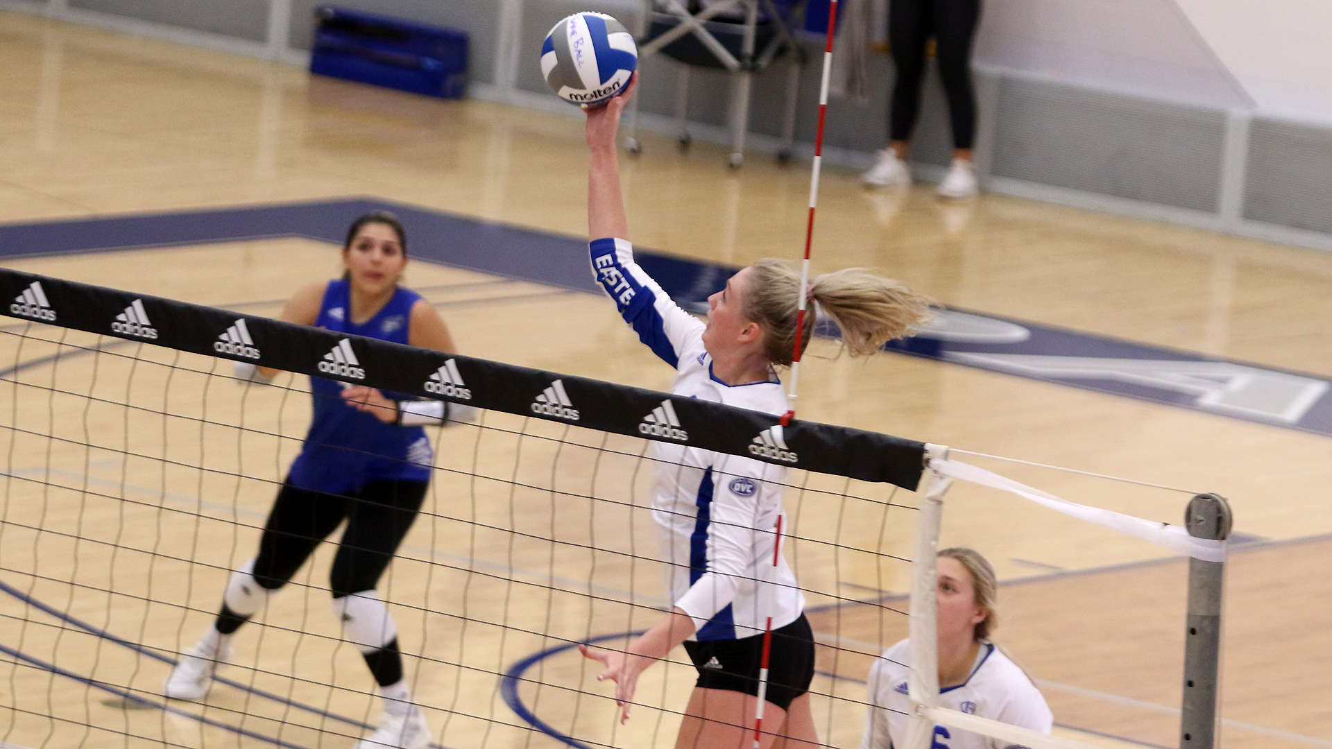 Kaitlyn Flynn - Volleyball - Eastern Illinois University Athletics