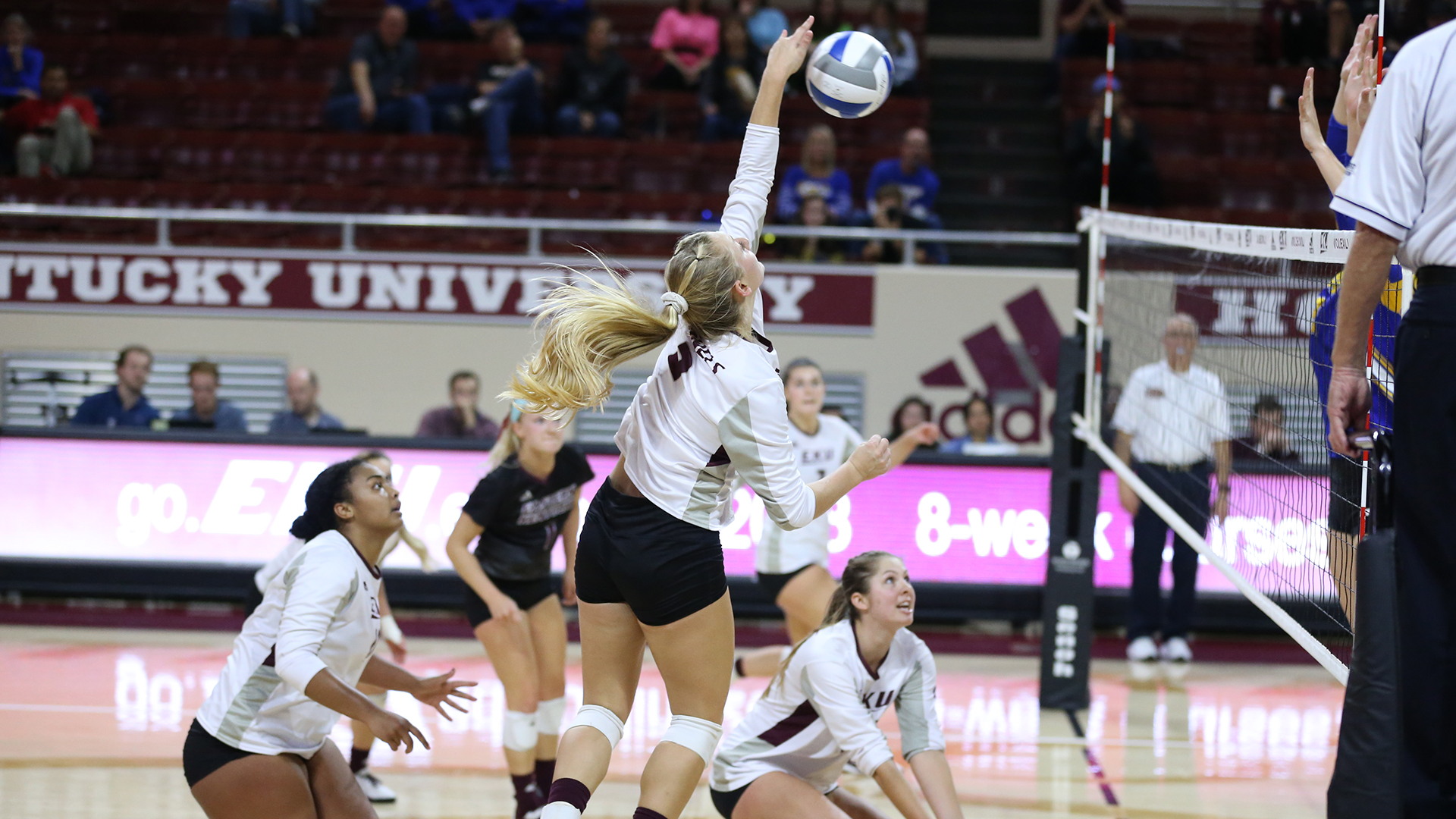 Cassie Knutson - Volleyball - Eastern Kentucky University Athletics