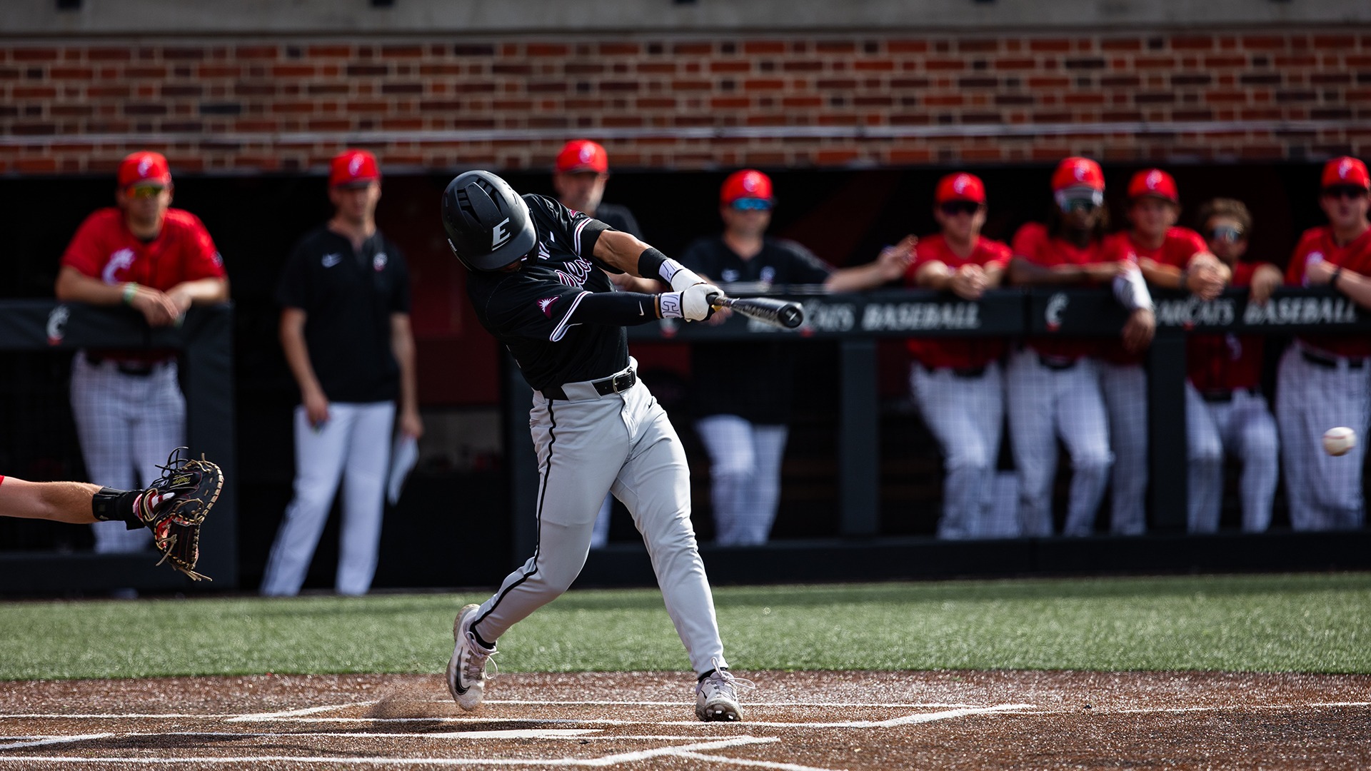 Justin Carinci - Baseball - Eastern Kentucky University Athletics