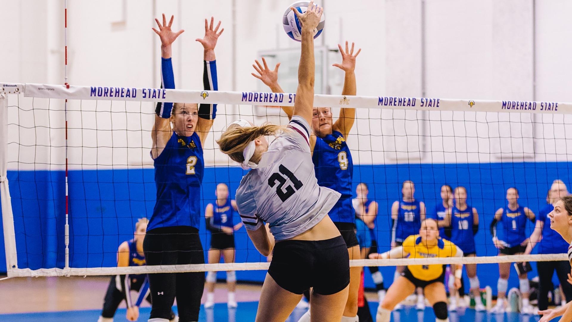 EKU Announces 2025 Volleyball Schedule - Eastern Kentucky University ...