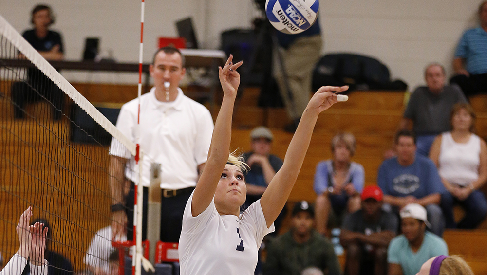 Hannah Nimrick - 2016 - Women's Volleyball - Elmhurst University Athletics