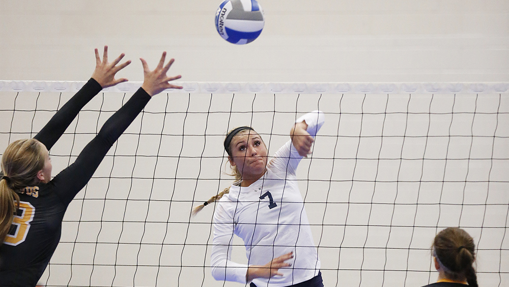 Hannah Nimrick - 2016 - Women's Volleyball - Elmhurst University Athletics