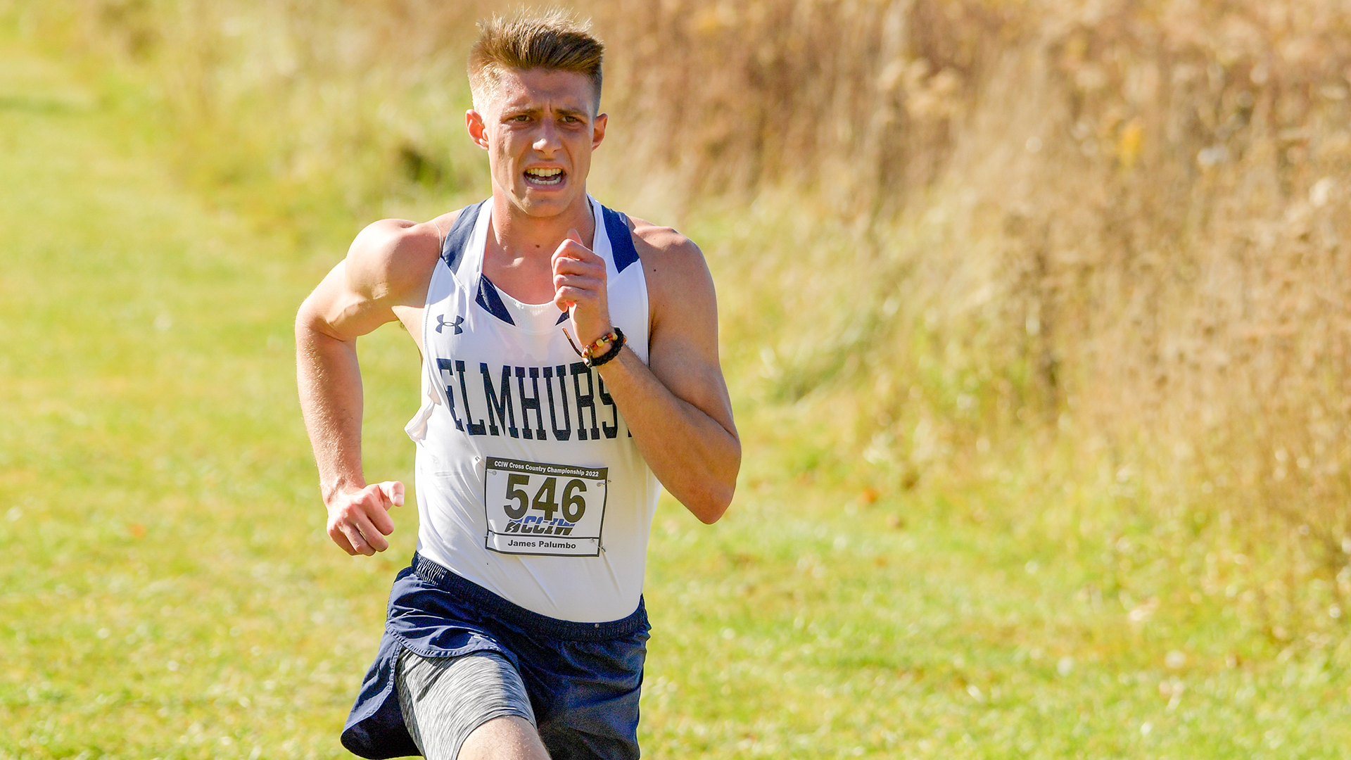 James Palumbo - 2023 - Men's Cross Country - Elmhurst University Athletics