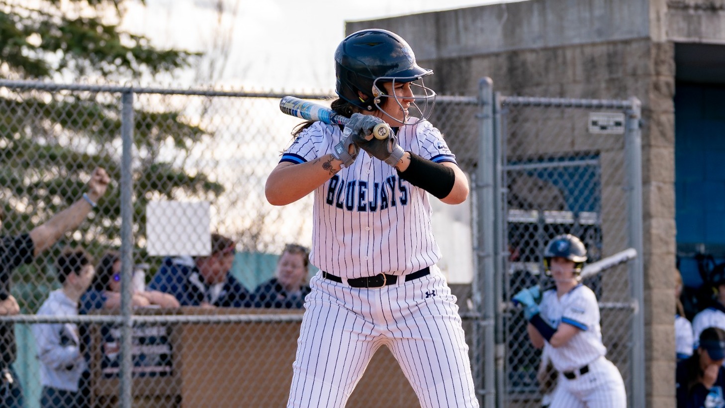 Elmhurst Names Adix-Zins Head Softball Coach - Elmhurst University ...