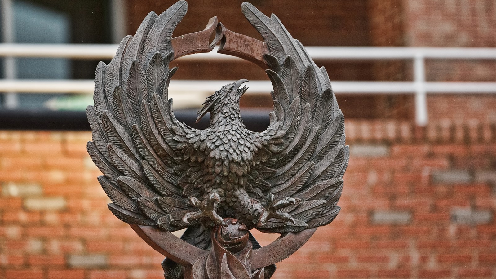 Elon Athletics Hosts 2025 Phoenix Awards - Elon University Athletics