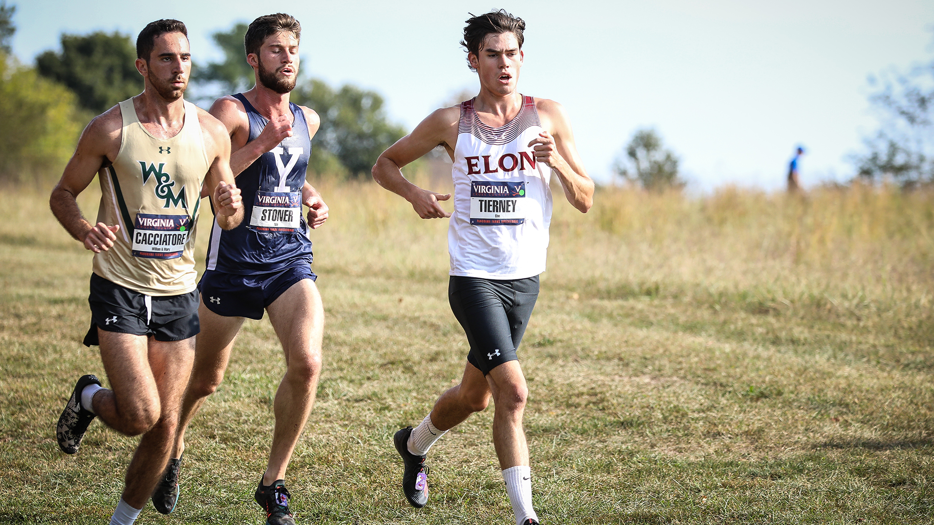 Aidan Tierney - Men's Cross Country - Elon University Athletics