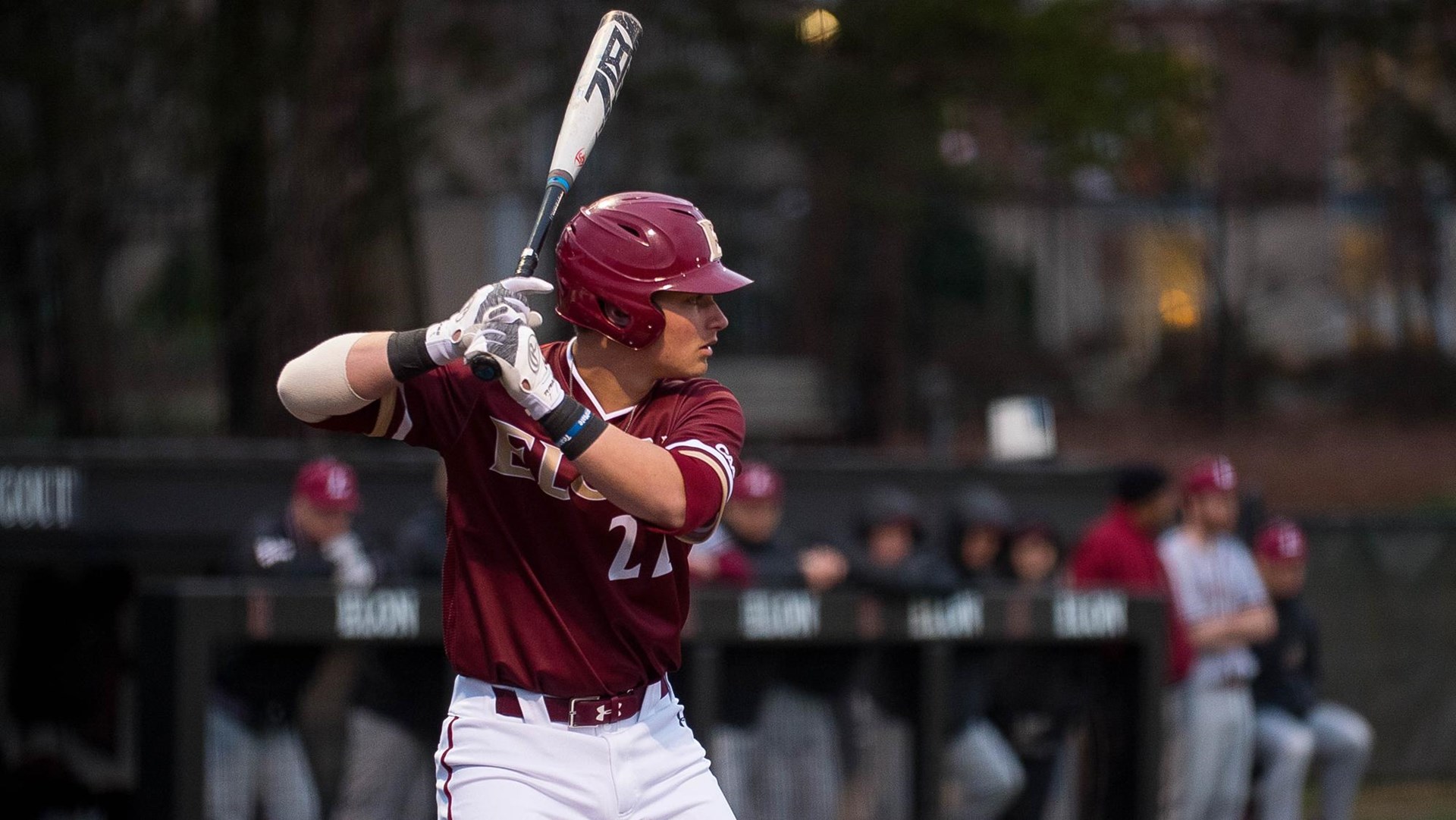 Nick Cicci - Baseball - Elon University Athletics