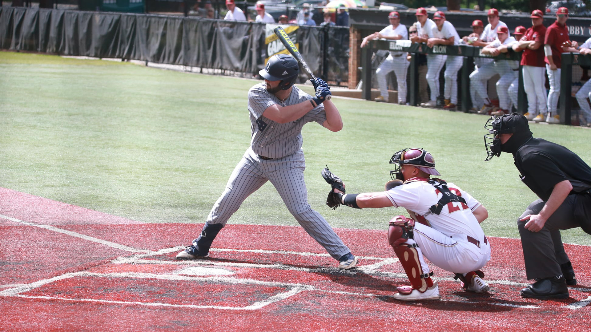 Nick Cicci - Baseball - Elon University Athletics