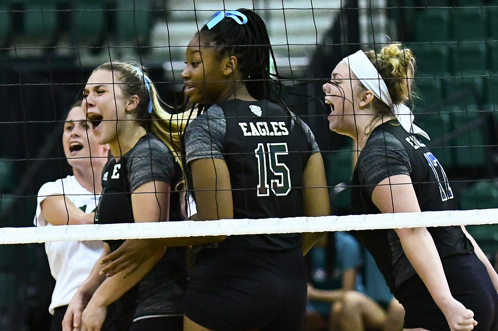 Ariel Hamby - Volleyball - Eastern Michigan University Athletics