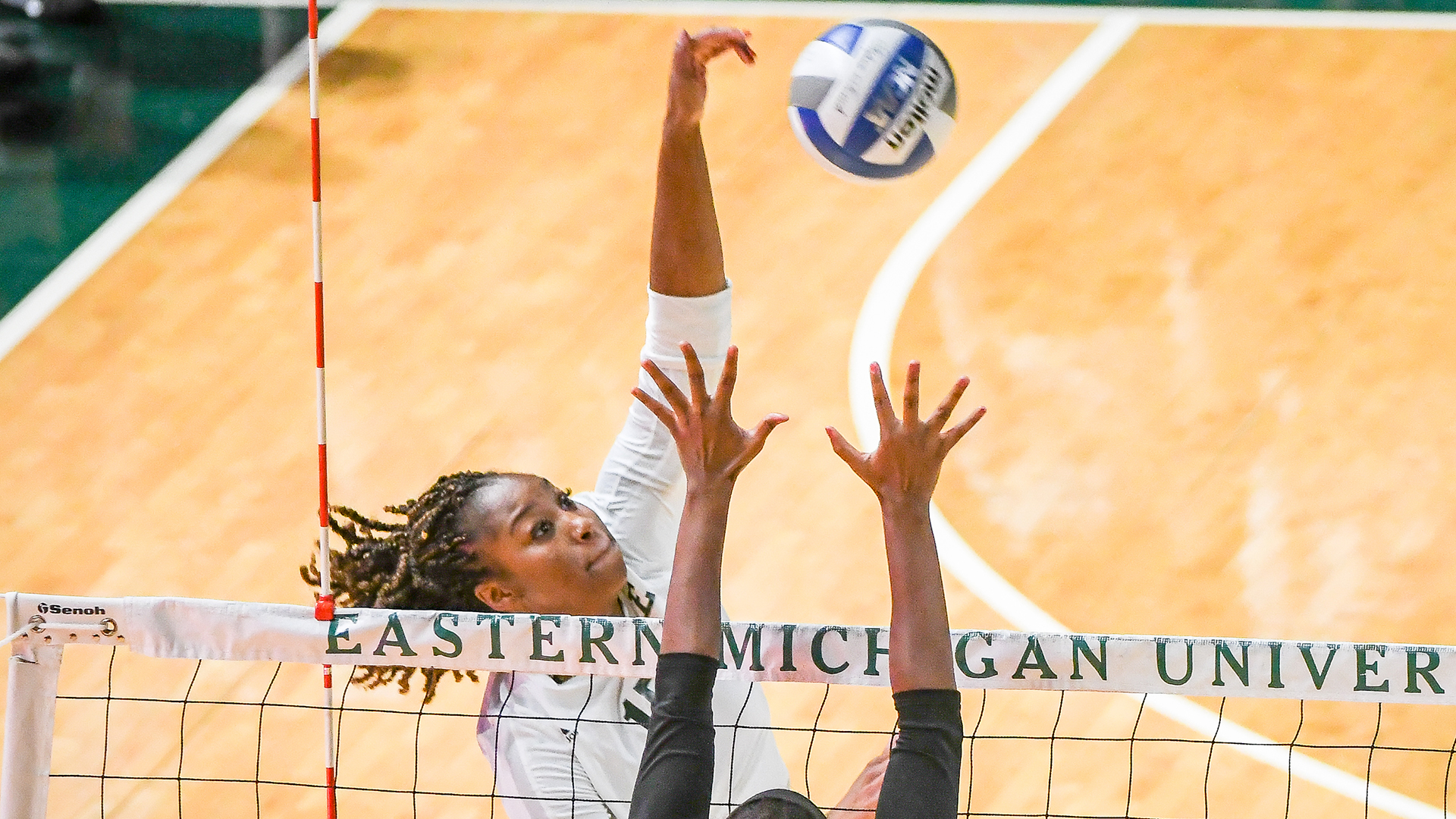 Ariel Hamby - Volleyball - Eastern Michigan University Athletics