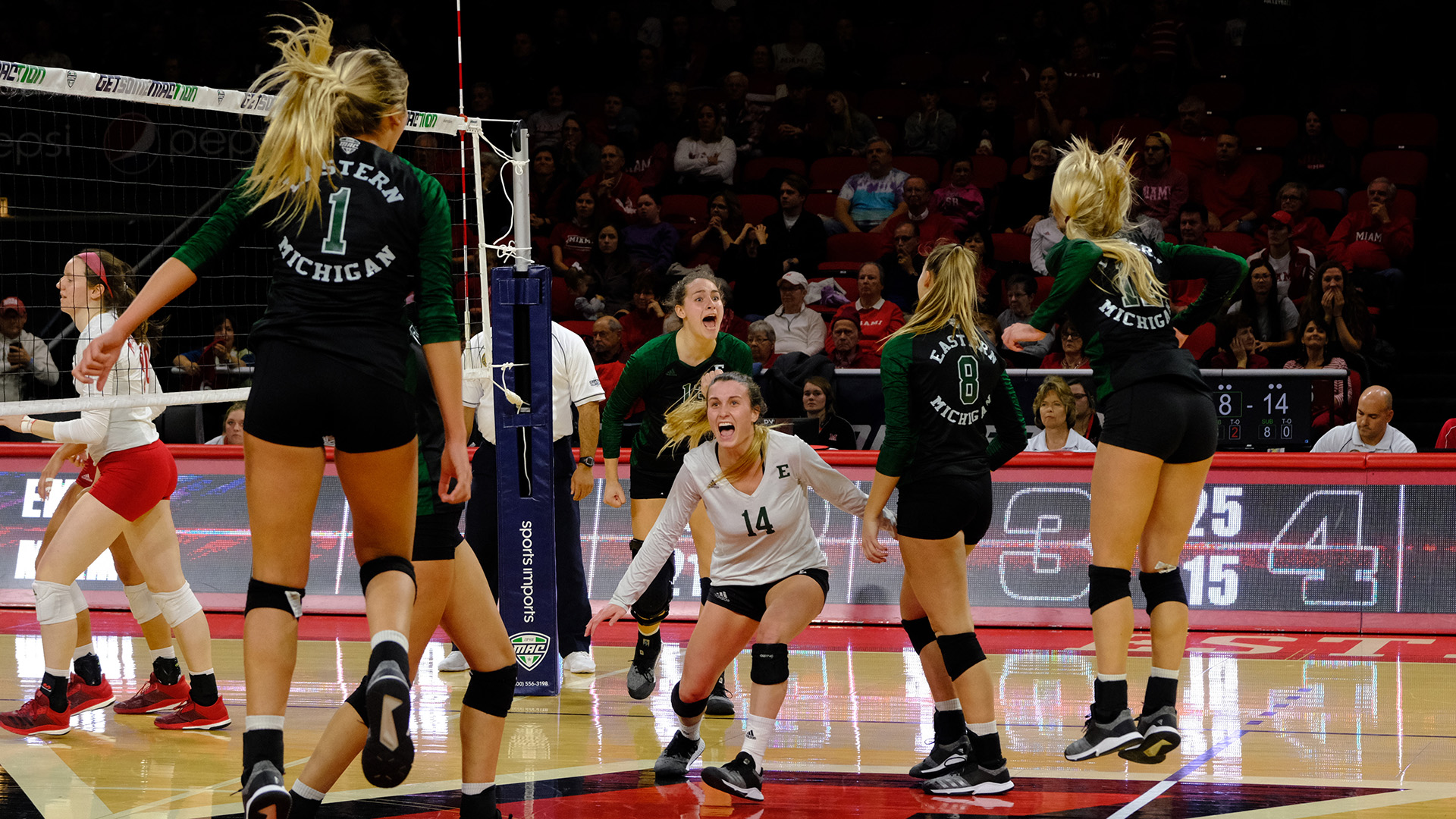 Alyssa LaFace - Volleyball - Eastern Michigan University Athletics