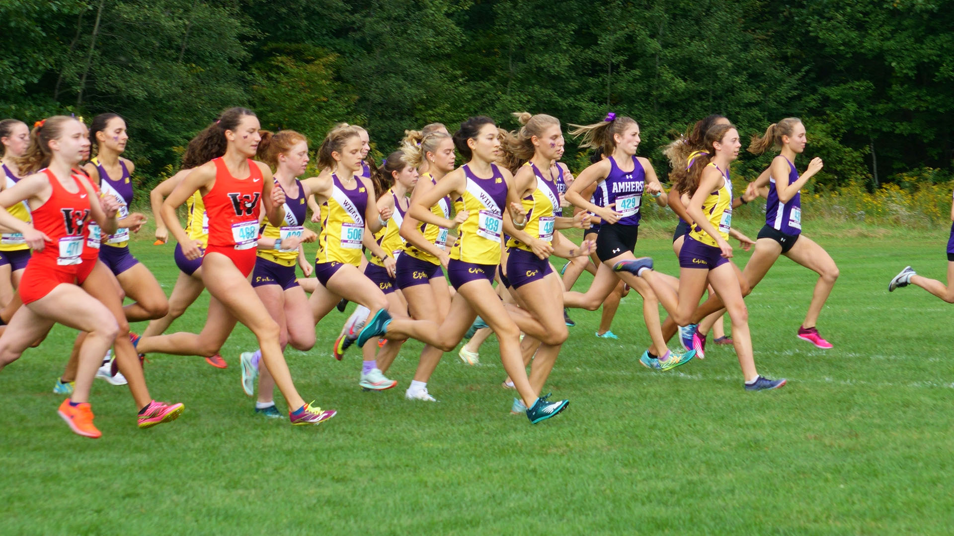 Williams XC Women Capture Second Place at the Little Three Championship ...