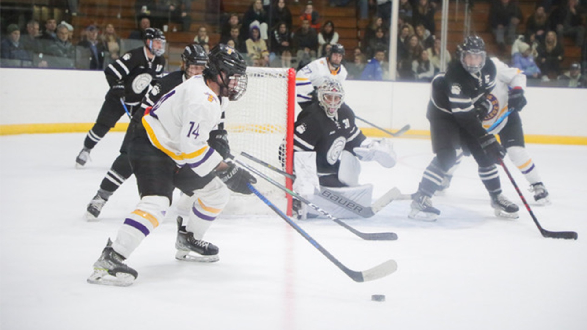 Ephs Fall to the Polar Bears 5-3 on Senior Night - Williams College
