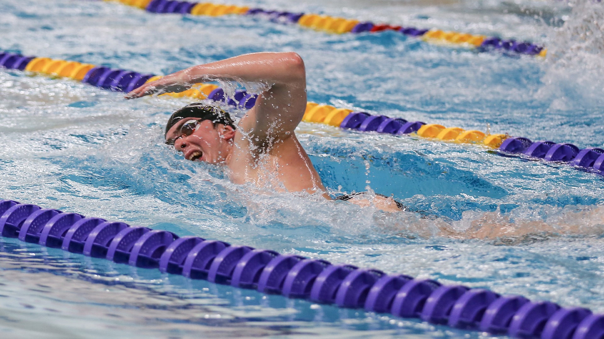 Alexander Shashkov - 2023-24 - Men's Swimming and Diving - Williams College
