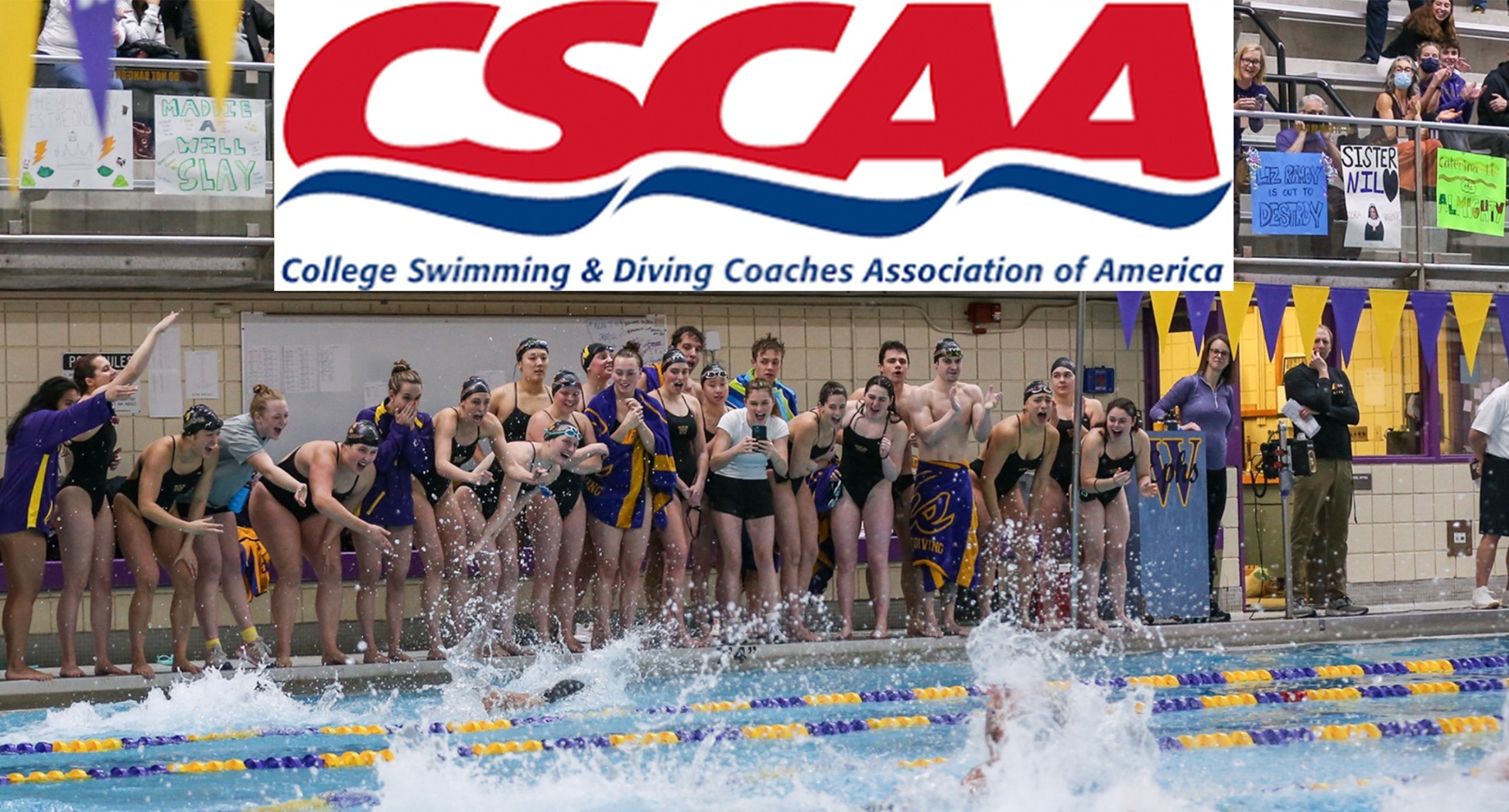 13 Members of the Women's Swimming and Diving Team Honored as 2023 CSCAA Scholar All-Americans ...