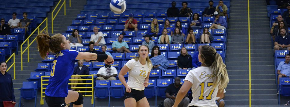 Olivia Roa - 2019 - Women's Volleyball - Embry-Riddle Aeronautical ...