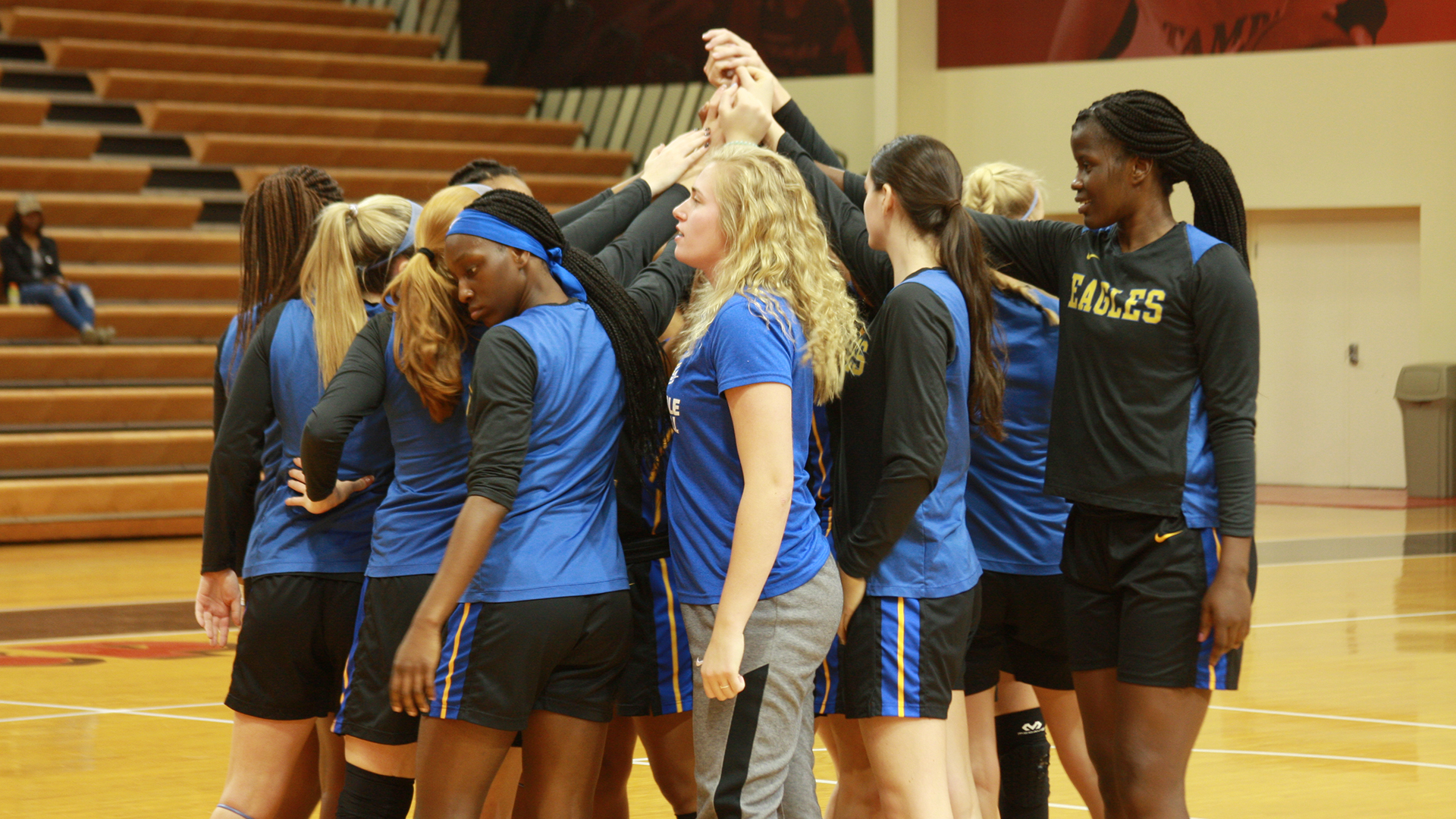 Spartans Best Eagles, 65-40 - Embry-Riddle Aeronautical University ...