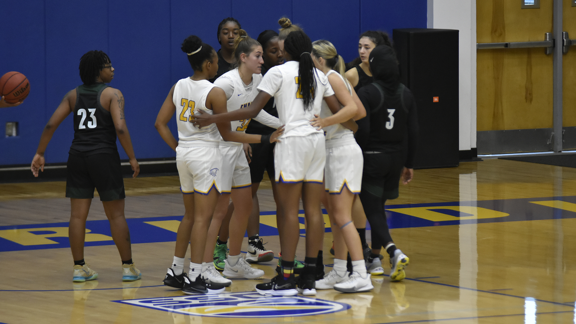 Women’s Basketball Victorious in Exhibition Game - Embry-Riddle ...