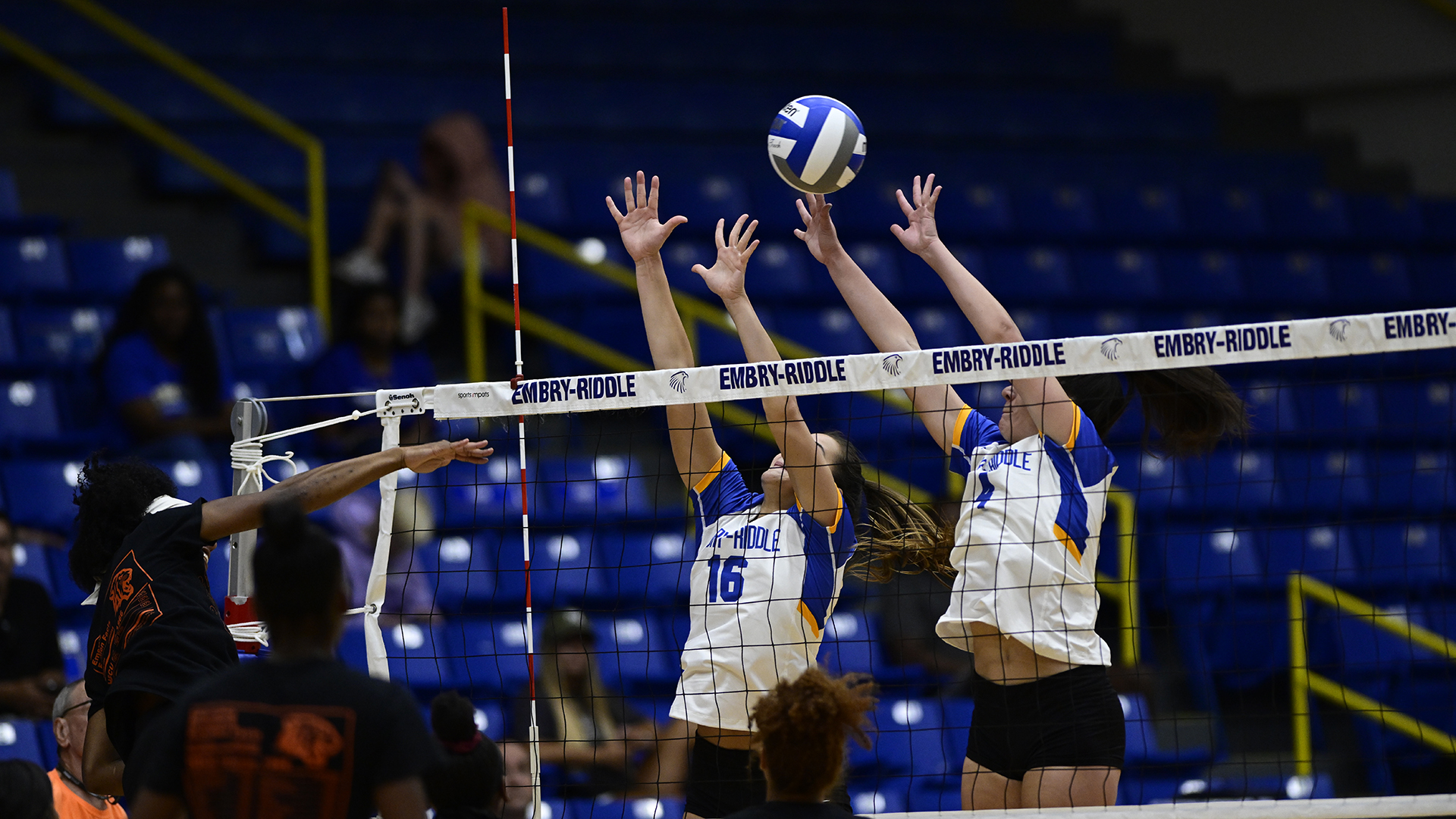 Volleyball Comes Up Short at Lynn - Embry-Riddle Aeronautical ...