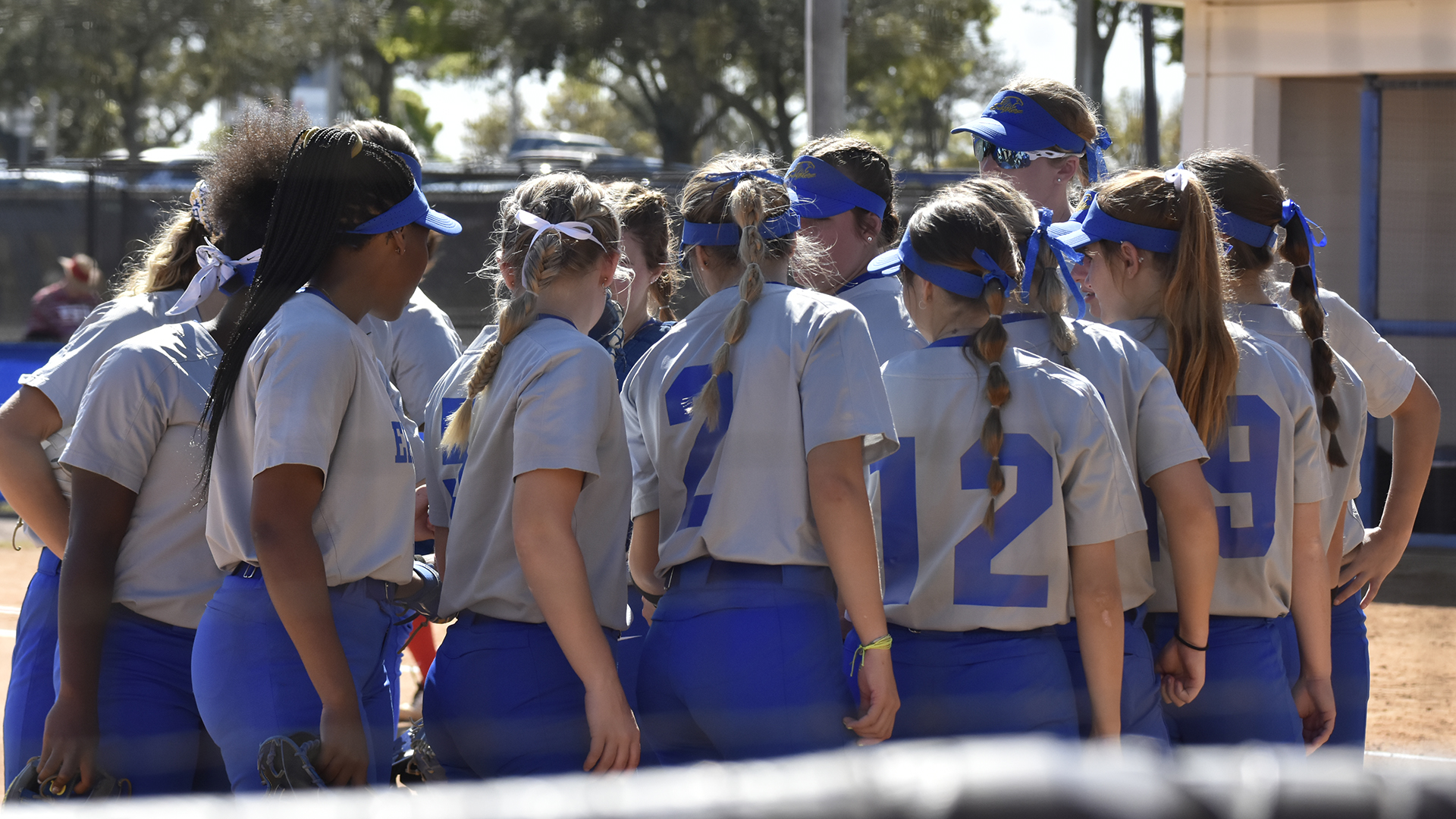 Softball Drops Pair of Games to Begin Eagle Classic - Embry-Riddle ...