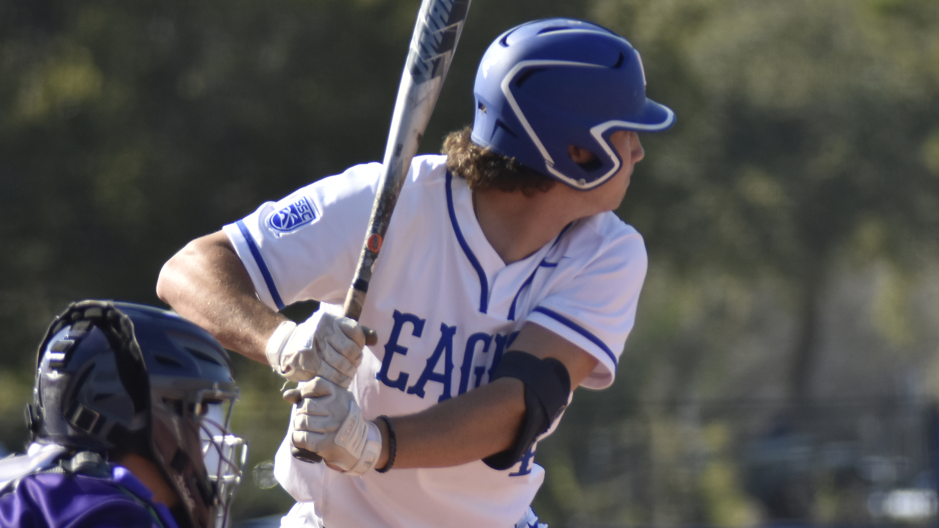 Baseball Splits with 17th-Ranked Southern on Saturday - Embry-Riddle ...