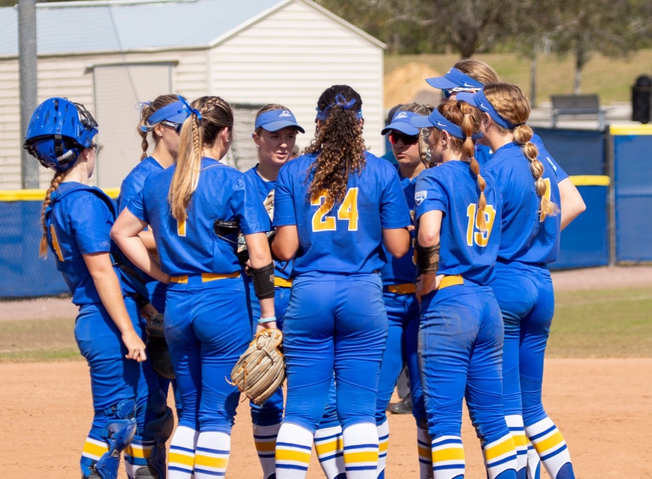 Softball Falls in Series Opener at Barry, 6-3 - Embry-Riddle ...