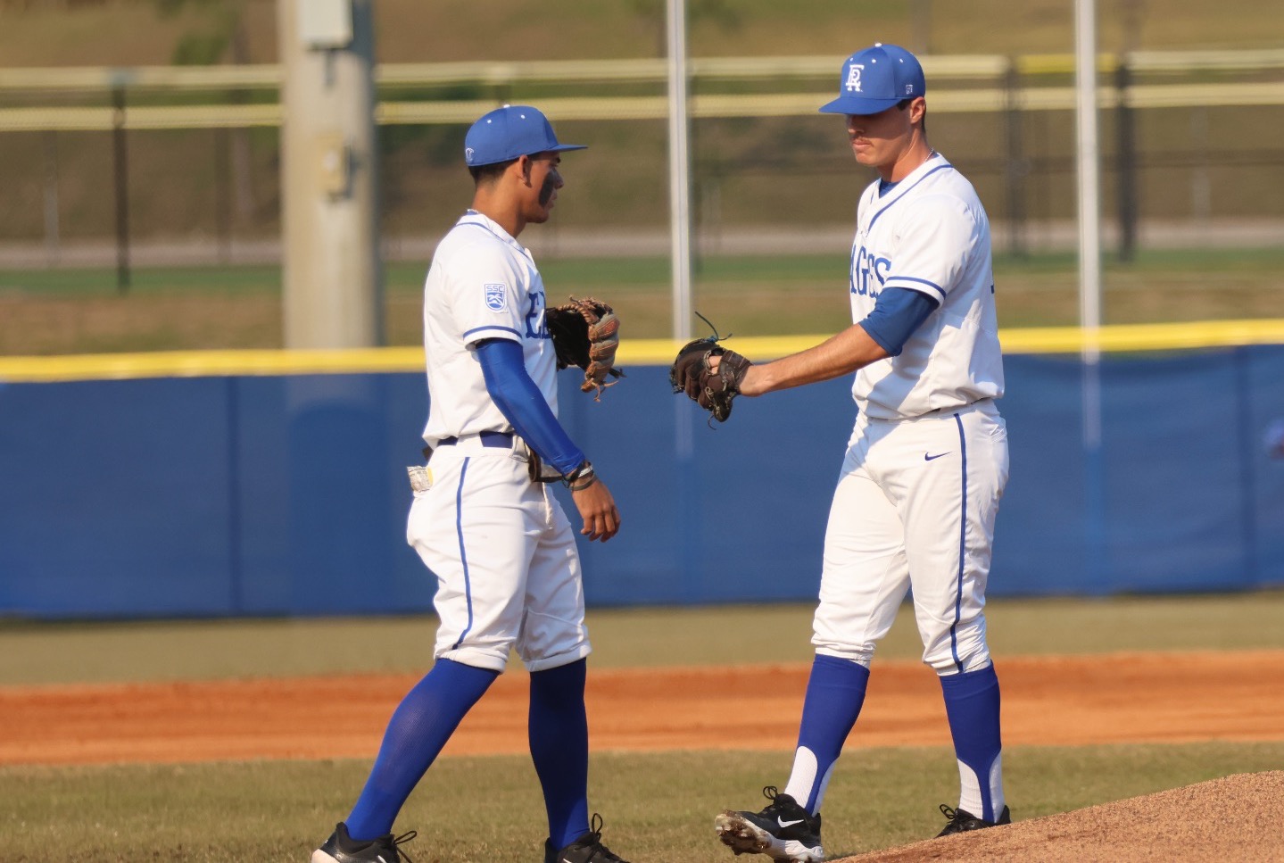 No. 1 Tampa Stifles Eagles, 11-4 - Embry-Riddle Aeronautical University ...