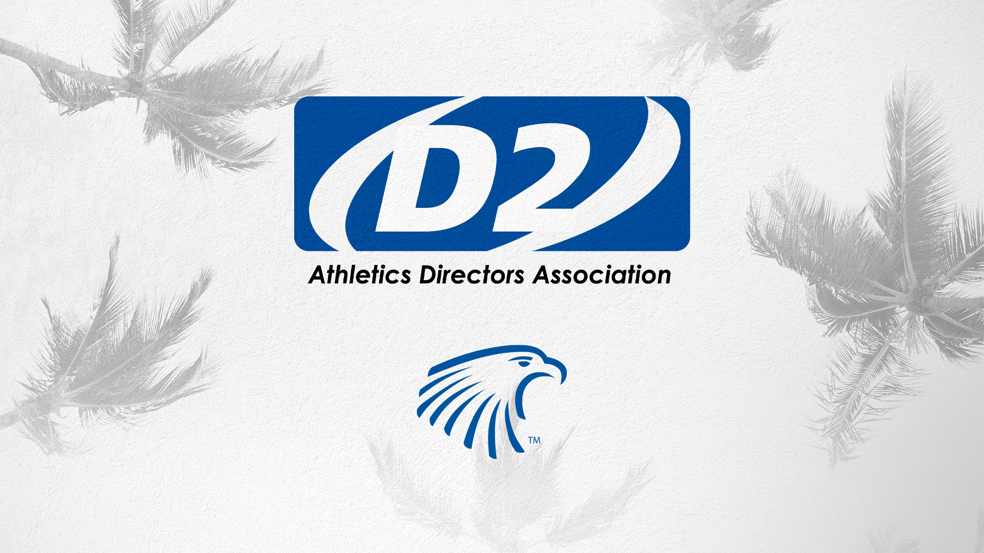 Embry-Riddle Athletics Announces Strategic Plan: TogethER We Win ...