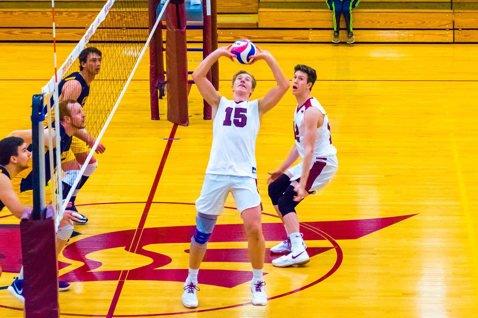 Matt Friddle - 2018 - Men's Volleyball - Erskine College Athletics
