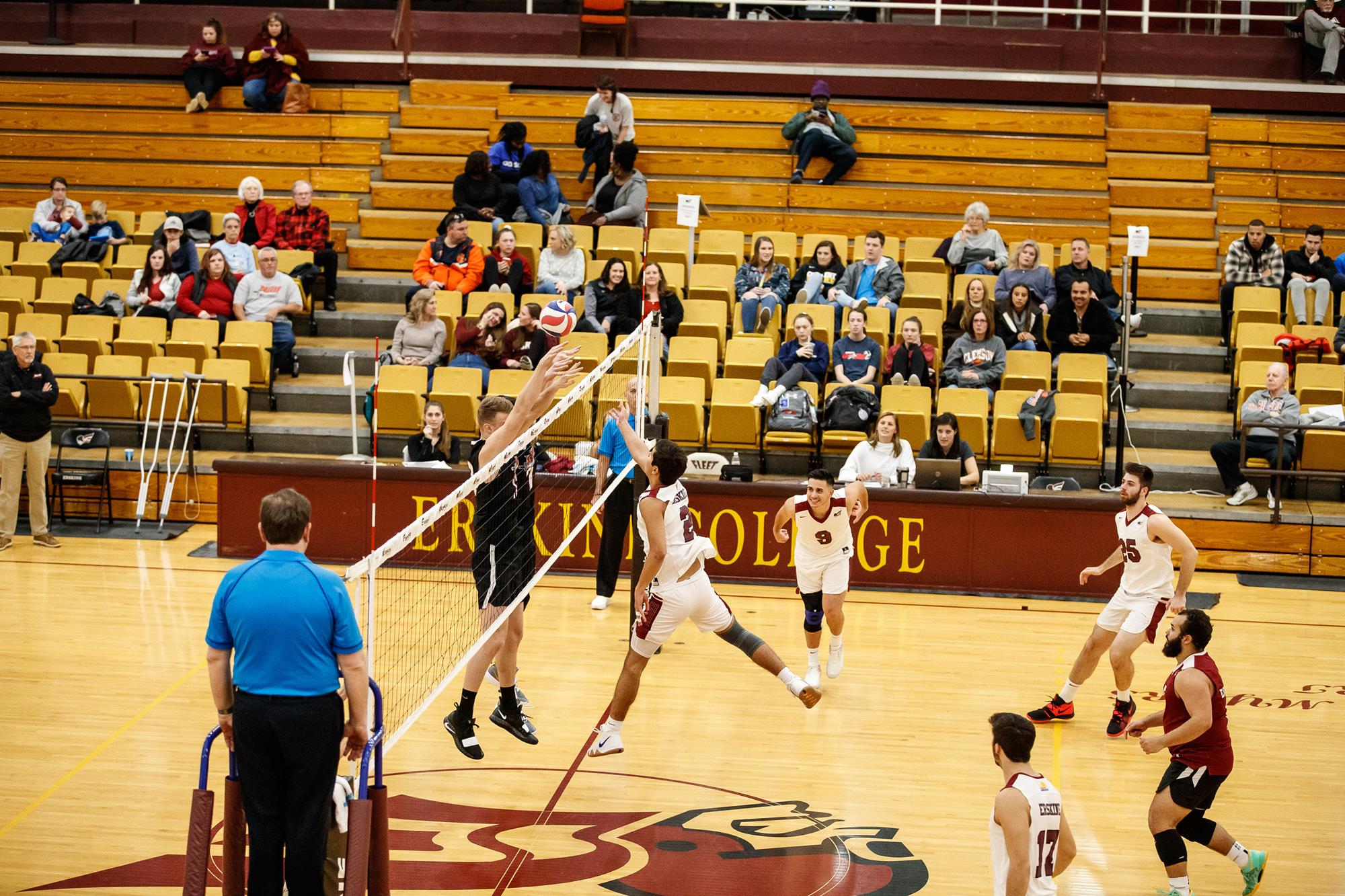 Alejandro Irizarry - 2019 - Men's Volleyball - Erskine College Athletics