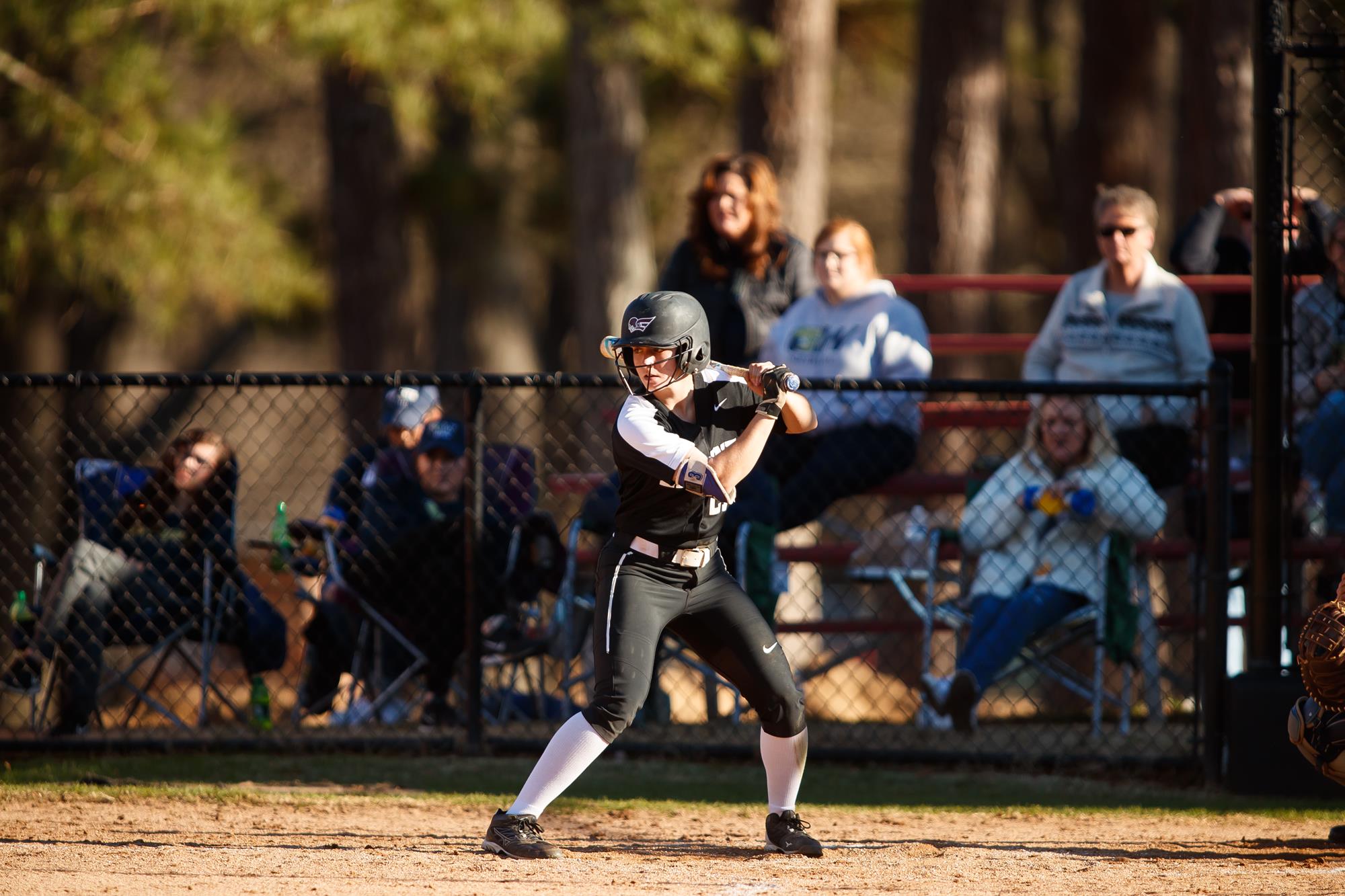 Allison Neely - 2020 - Softball - Erskine College Athletics