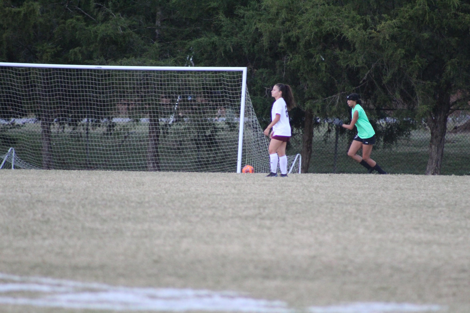 Erskine Women's Soccer | Johnson's historic performance not enough as ...