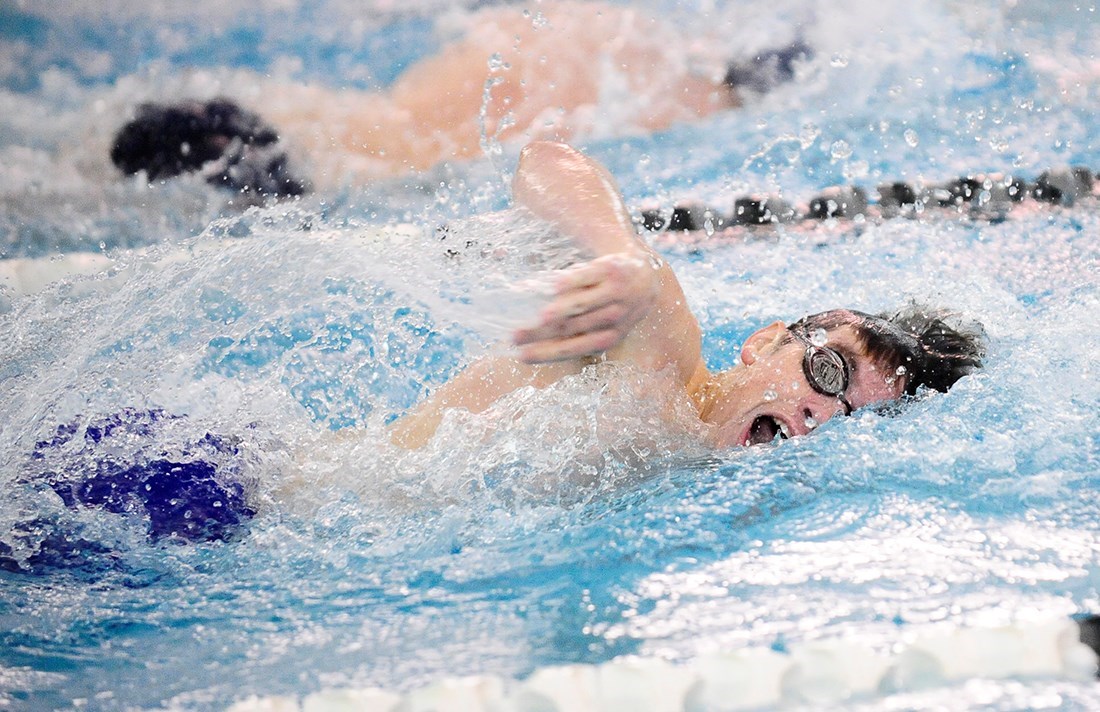Andrew Malik - Men's Swimming - Elizabethtown College Athletics