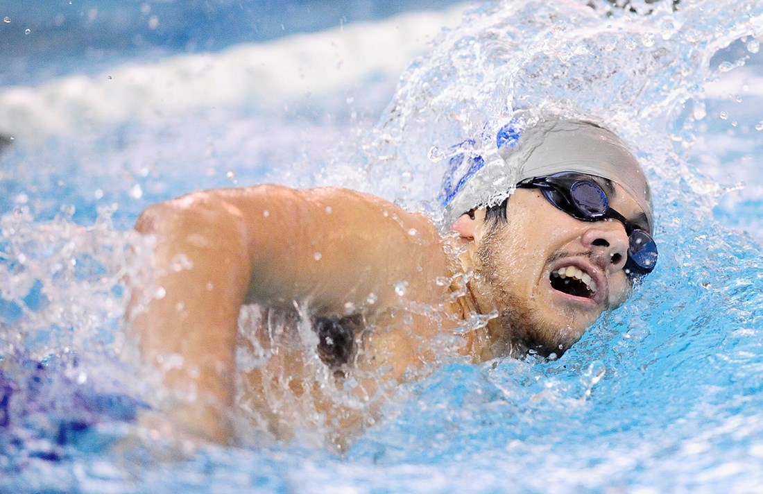 Frank Capria - Men's Swimming - Elizabethtown College Athletics