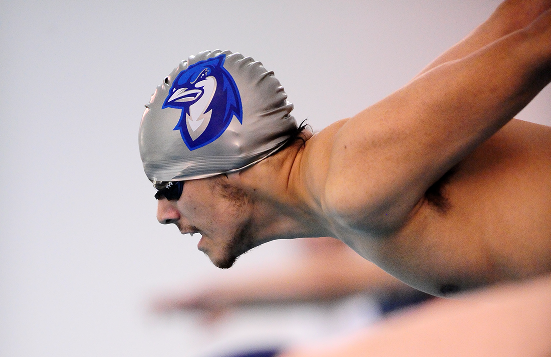 Frank Capria - Men's Swimming - Elizabethtown College Athletics