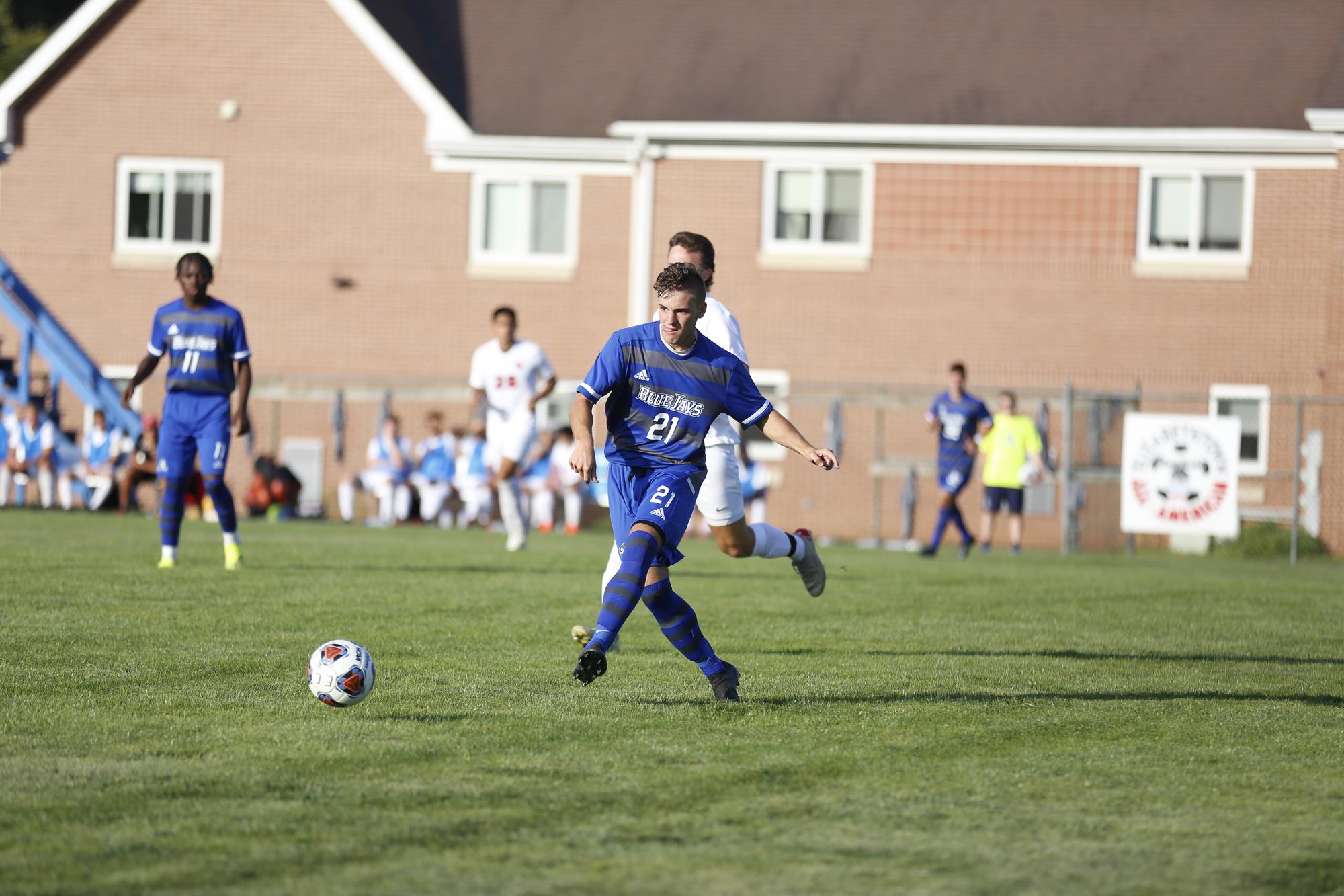 Liam Alese - Men's Soccer - Elizabethtown College Athletics
